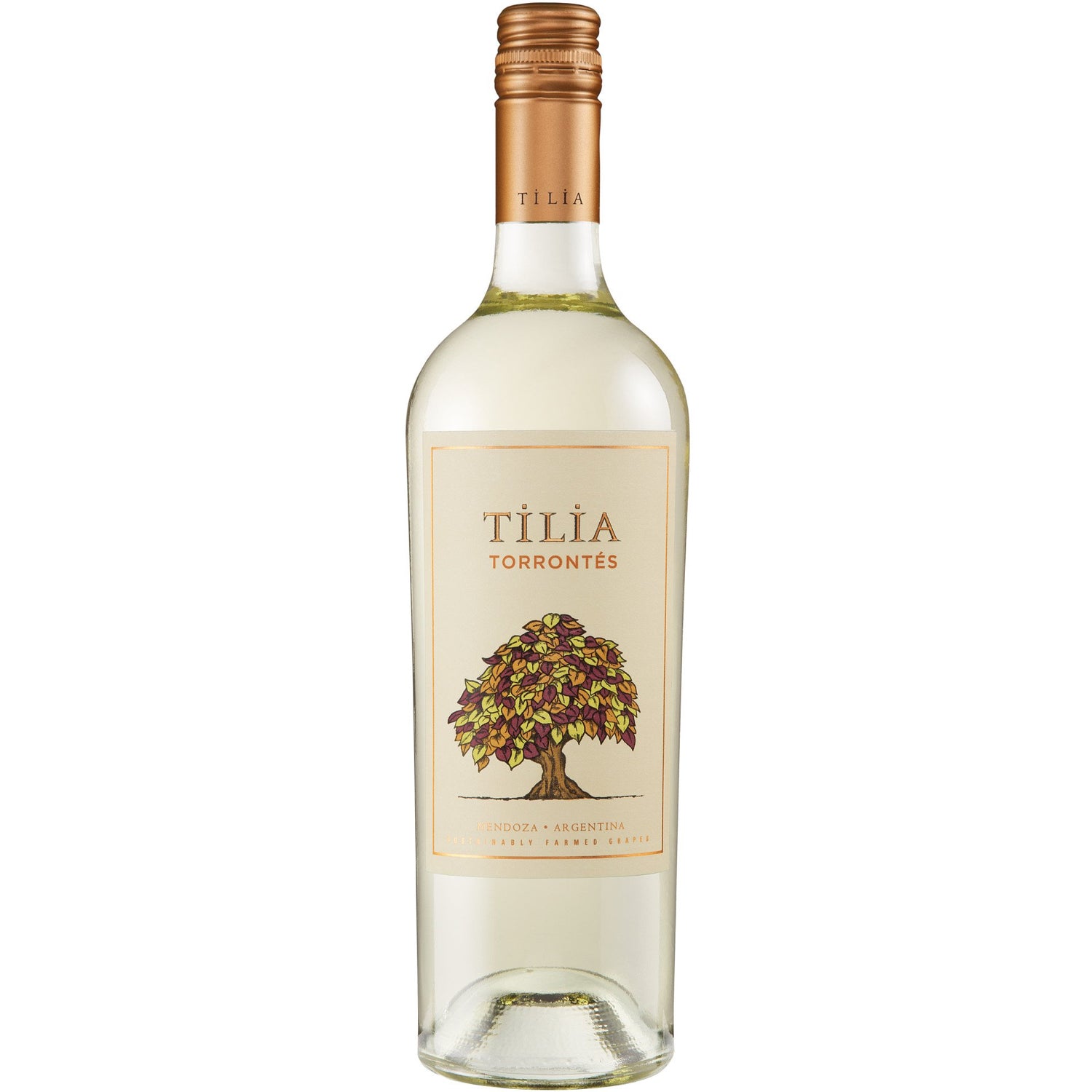 Tilia Torrontés [750ml]